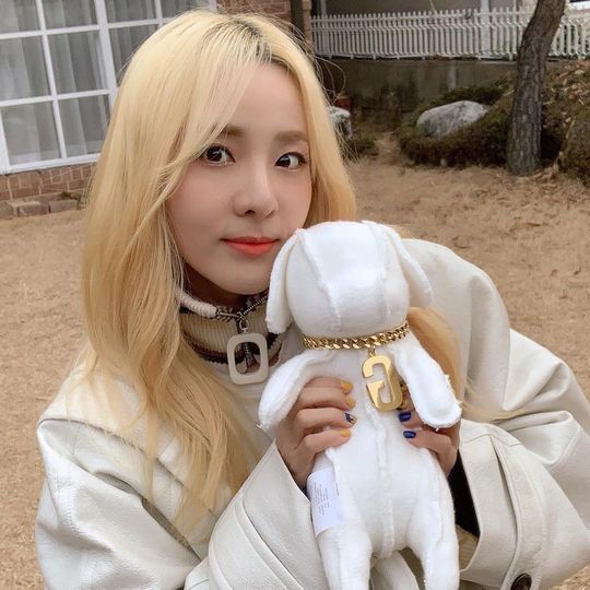 심플 발랄 산다라박 겨울여자 스타일은 이거지 SNS컷 손에 잡히는 뉴스 눈에 보이는 뉴스 뉴스엔