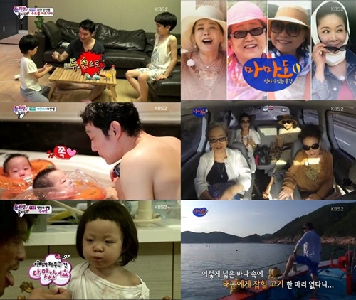 표절논란부터 파격까지 KBS 파일럿예능 울고웃고 (2013 결산) - 손에 잡히는 뉴스 눈에 보이는 뉴스 - 뉴스엔