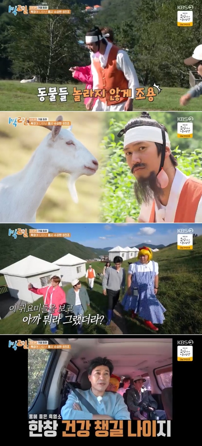 나인우, 산양과 싱크로율 100% 비주얼(1박2일) - 손에 잡히는 뉴스 눈에 보이는 뉴스 - 뉴스엔