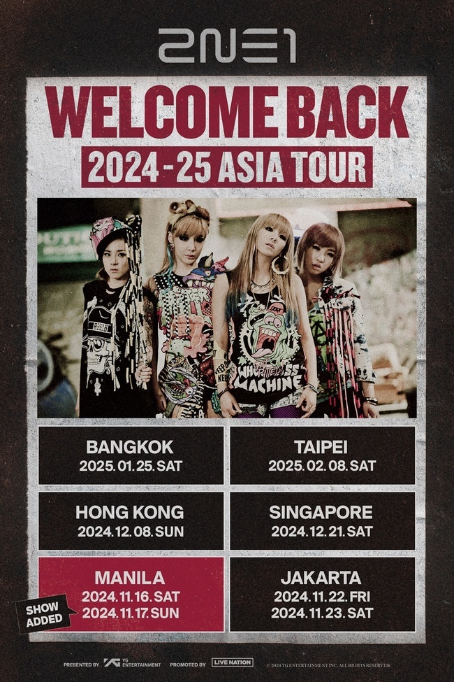 ‘데뷔 15주년’ 2NE1, 마닐라·자카르타 공연 추가 확정 [공식] - 손에 잡히는 뉴스 눈에 보이는 뉴스 - 뉴스엔