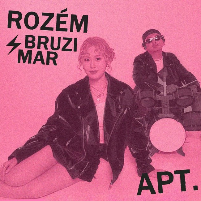 「再建築アパート」オム・ジユン＆クァク・ボム、ROZÉMとBruzi Marで『APT.』を完全パロディ | K-POP | K-HALLYUNEWS