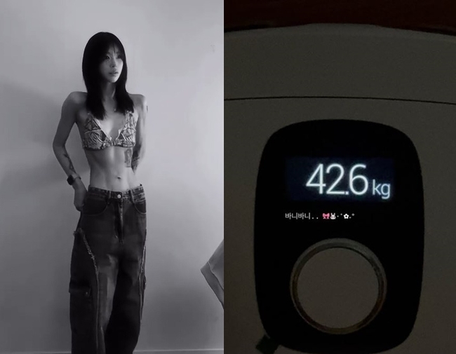 최준희, 뼛가죽 가시몸 부족하다더니 42kg 인증 “추구미” 달성 완료 - 뉴스인코리아