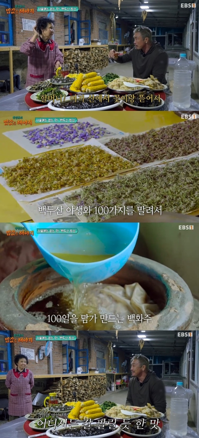 추성훈, 백두산 야생화 100종 말려 만든 술맛 감탄 “어디서든 잘 팔려”(밥값) - 손에 잡히는 뉴스 눈에 보이는 뉴스 - 뉴스엔